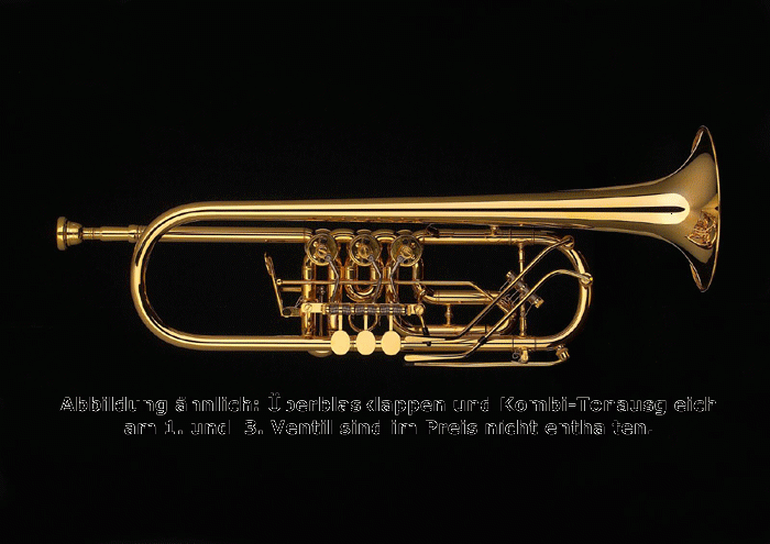 SCHAGERL-Bb-Trompete - Hans Gansch - vergoldet | Bb-Trompeten ...